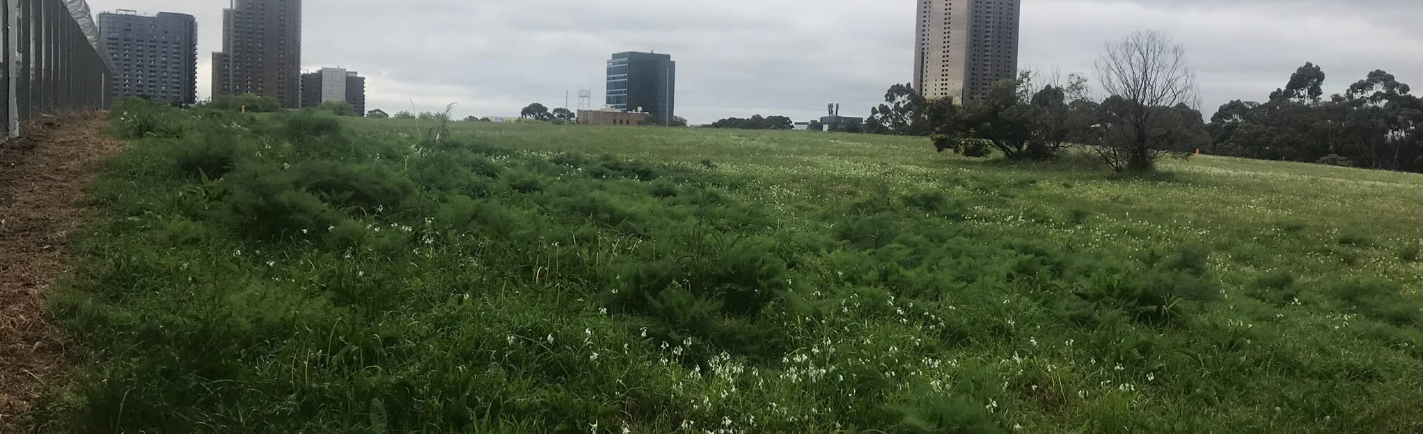 Surrey Hills Park Loop: 2 foto - Victoria, Australia | AllTrails