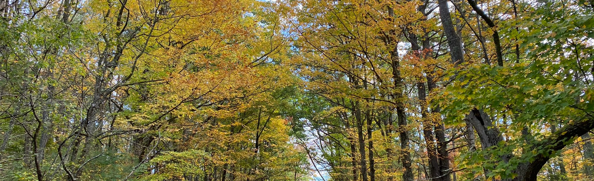 Quabbin Gate 22, Massachusetts - 141 Reviews, Map | AllTrails