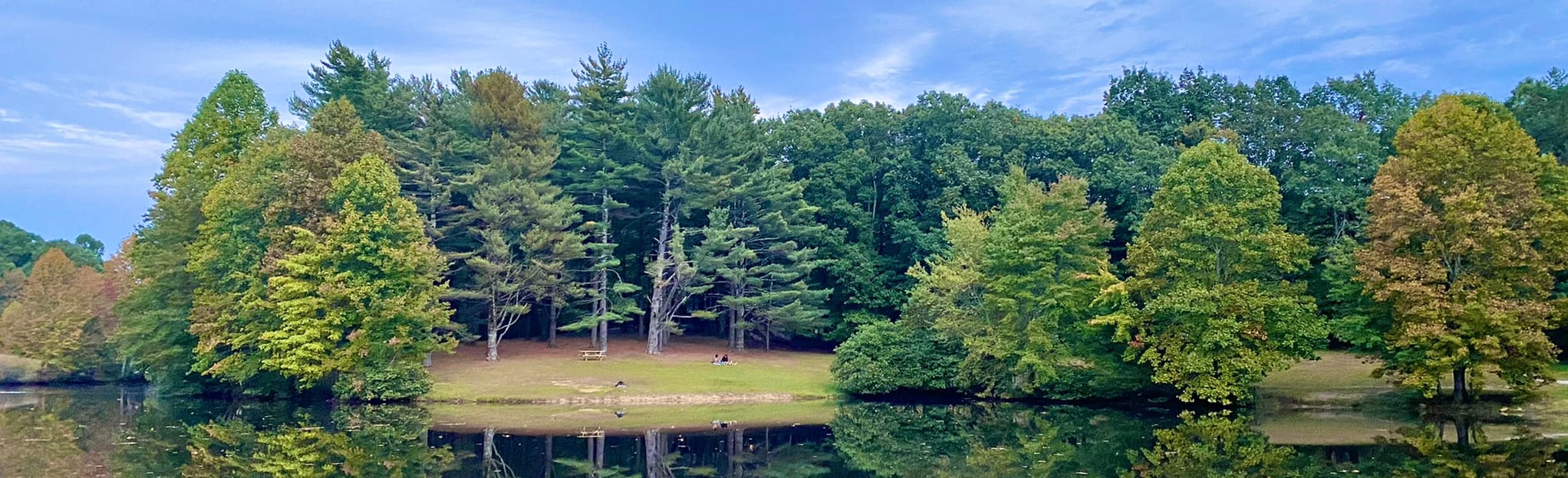 Solomon’s Temple Trail via Lake Cheston: 99 foto - Tennessee | AllTrails