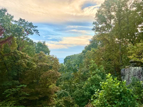 10 Best Trails and Hikes in Sewanee | AllTrails