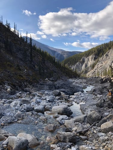 2023 Best Forest Trails in Fort Nelson | AllTrails