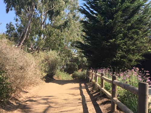 Best Hikes and Trails in Carpinteria | AllTrails