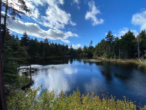 10 Best Hikes and Trails in Mount Greylock State Reservation | AllTrails