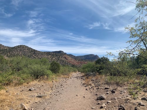 2023 Best 10 Trails and Hikes in Camp Verde | AllTrails