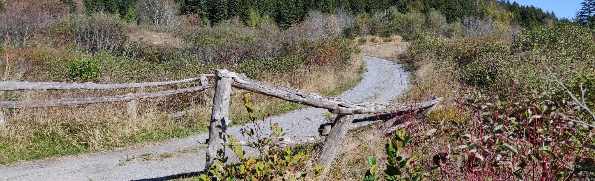 Trans Canada, Mackay Skyway and Tall Grass , New Brunswick, Canada - 52 ...