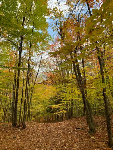 Best Hikes and Trails in Parc du Lac-Beauchamp | AllTrails