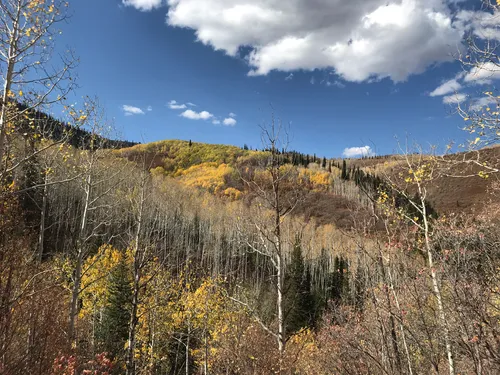 10 Best Hikes and Trails in Park City Trails and Open Space | AllTrails