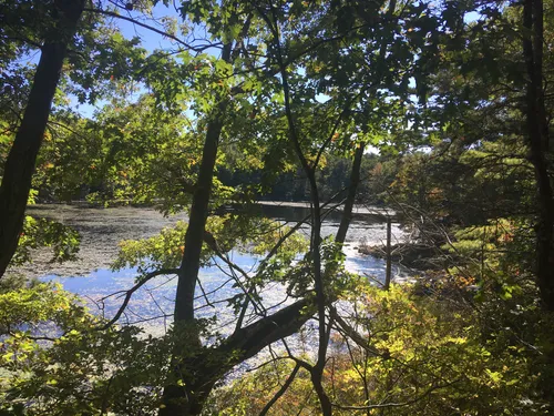 10 Best Dog Friendly Trails in Rhode Island | AllTrails