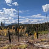 Logging Lake and Grace Lake via Logging Lake Trail, Montana - 37 ...