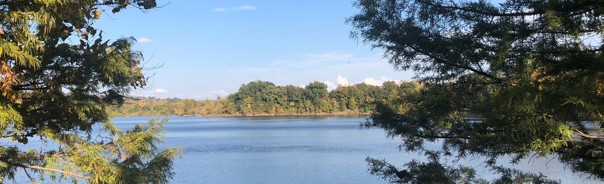 Simpson Park Blue Heron Trail: 264 Reviews, Map - Missouri | AllTrails