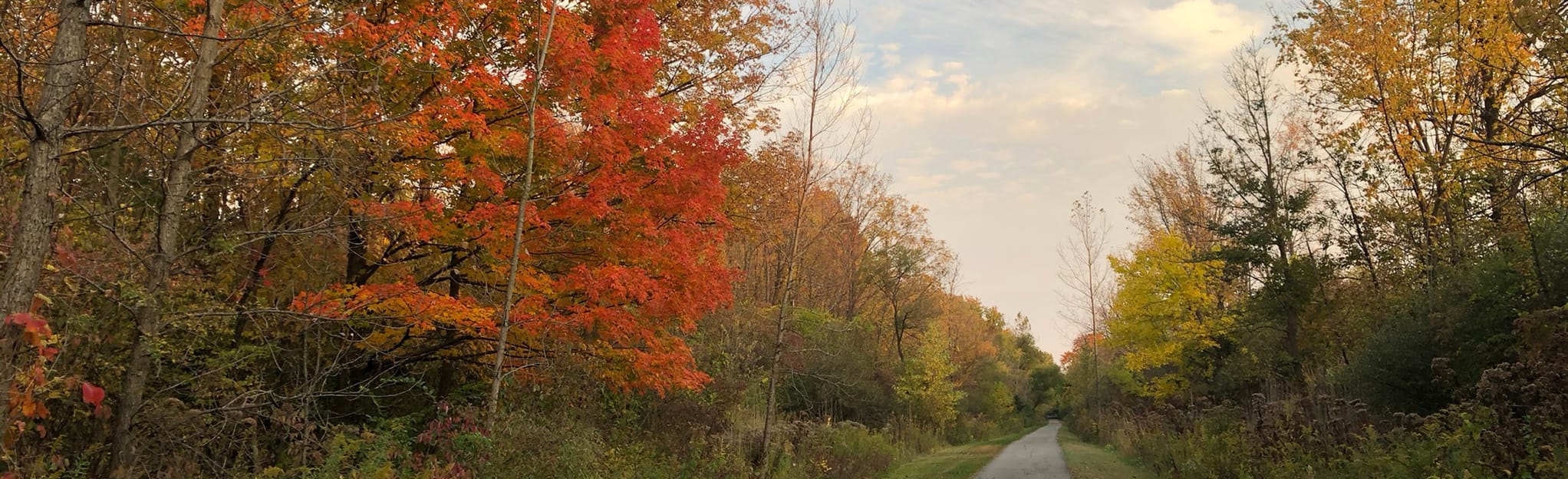 Big 4 Rail Trail, Indiana - 178 Reviews, Map | AllTrails