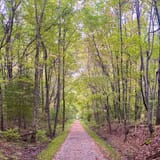 Sewanee Perimeter Trail, Tennessee - 267 Reviews, Map | AllTrails