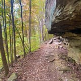Sewanee Perimeter Trail, Tennessee - 236 Reviews, Map | AllTrails