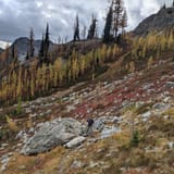 Twisp Pass Trail, Washington - 51 Reviews, Map | AllTrails