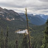 Twisp Pass Trail, Washington - 51 Reviews, Map | AllTrails
