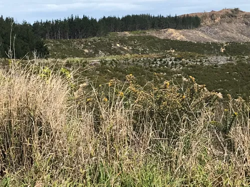 10 Best Trails and Hikes in Howick | AllTrails