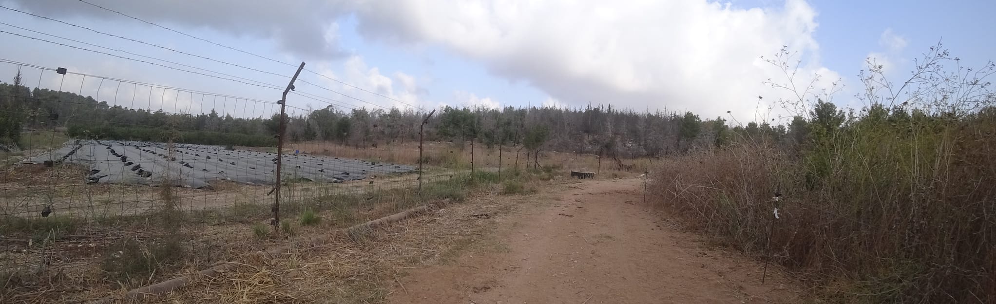 Musical Garden, Ben Shemen Forest and Gehenom Trail: 62 Fotos - Central ...