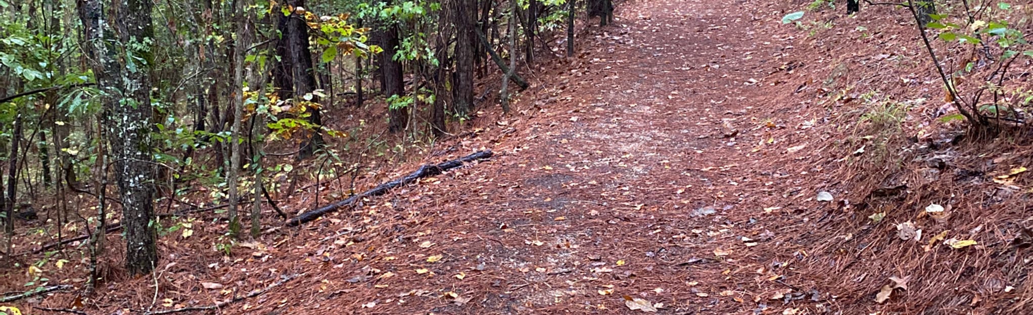 Cahaba Lily Park Nature Trail, Alabama - 76 Reviews, Map | AllTrails