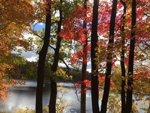 Best Hikes and Trails in Kalkaska | AllTrails