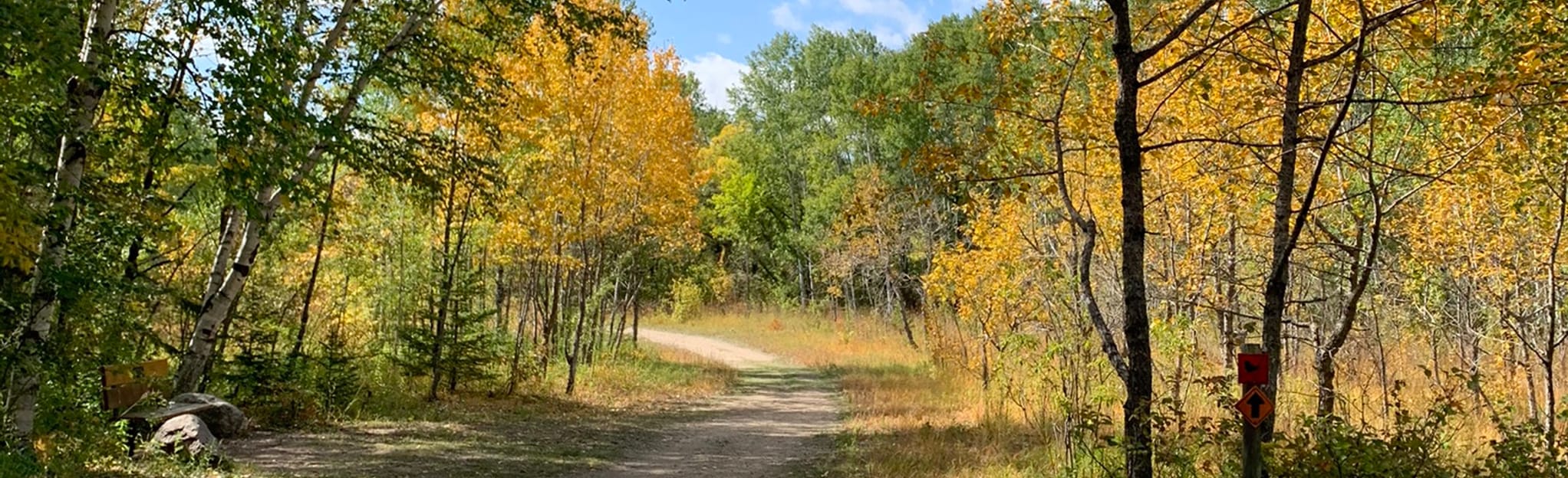 Chickadee Trail, Manitoba, Canada - 909 Reviews, Map | AllTrails