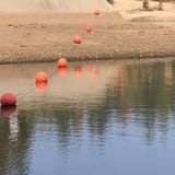 Grouse Ridge Trail, California - 54 Reviews, Map | AllTrails