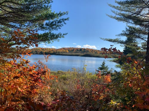 2023 Best Beach Trails in Shingleton | AllTrails