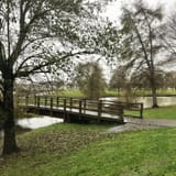 Timber Linn Park Trail, Oregon - 71 Reviews, Map | AllTrails