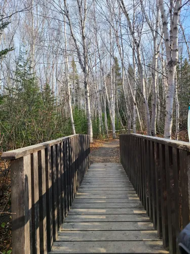 10 Best Trails and Hikes in Corner Brook | AllTrails