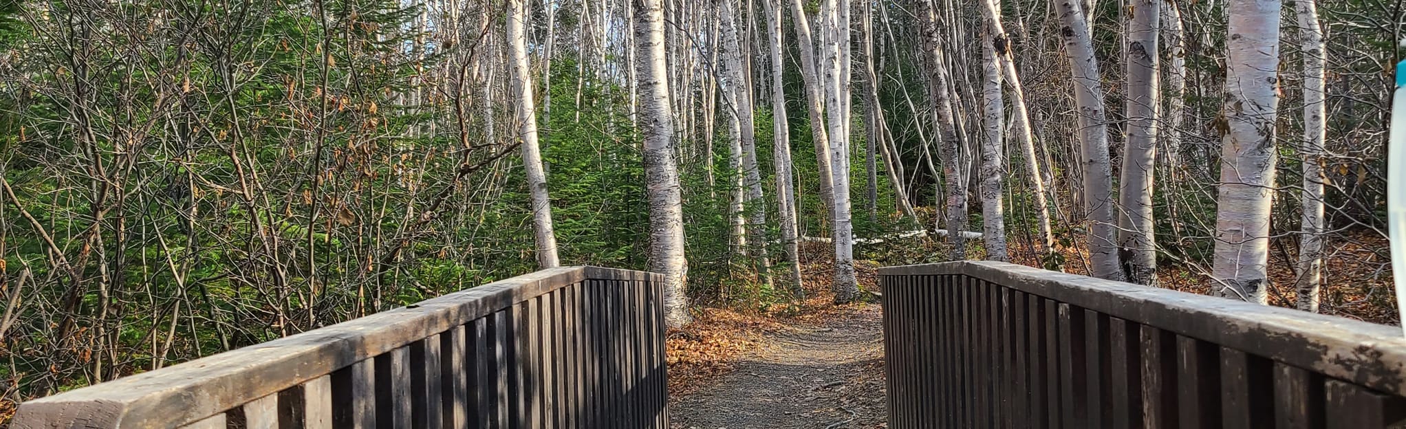 Ginger Route via Stream Trail, Newfoundland and Labrador, Canada - 25 ...