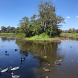 Bulimba Creek Loop, Queensland, Australia - 156 Reviews, Map | AllTrails