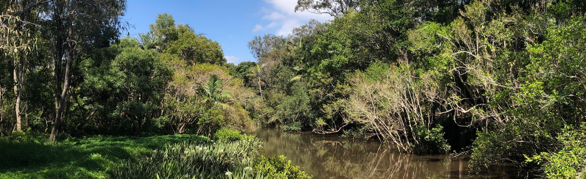 Bulimba Creek Loop, Queensland, Australia - 138 Reviews, Map | AllTrails