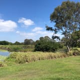 Bulimba Creek Loop, Queensland, Australia - 156 Reviews, Map | AllTrails
