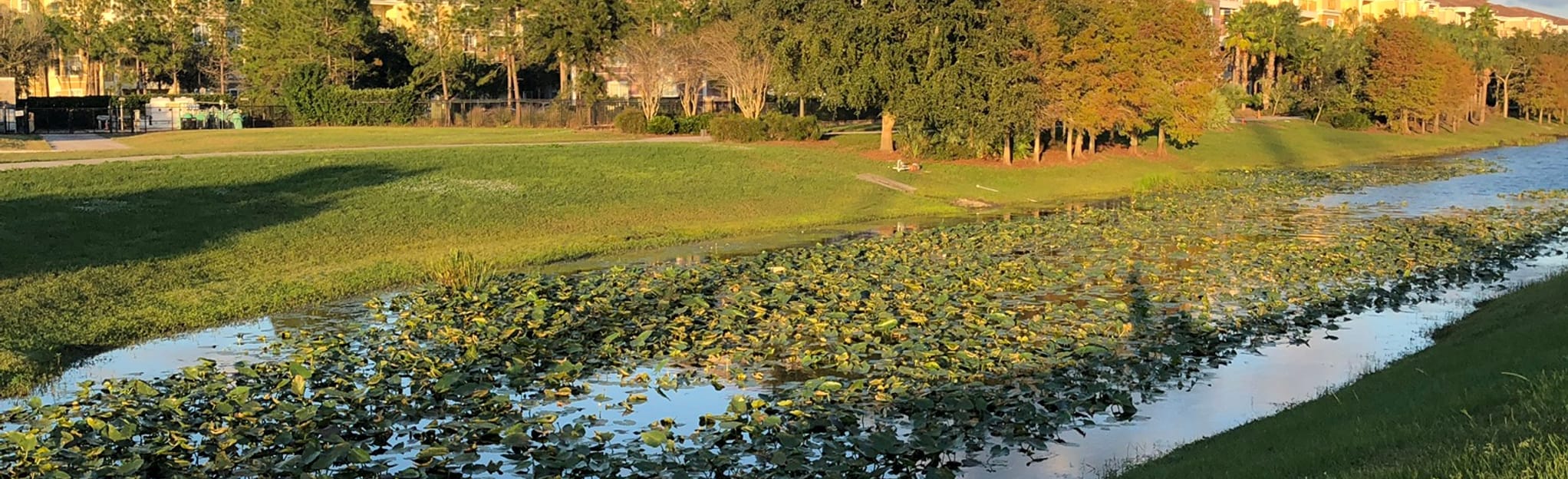 Cay Lake Trail, Florida - 99 Reviews, Map | AllTrails