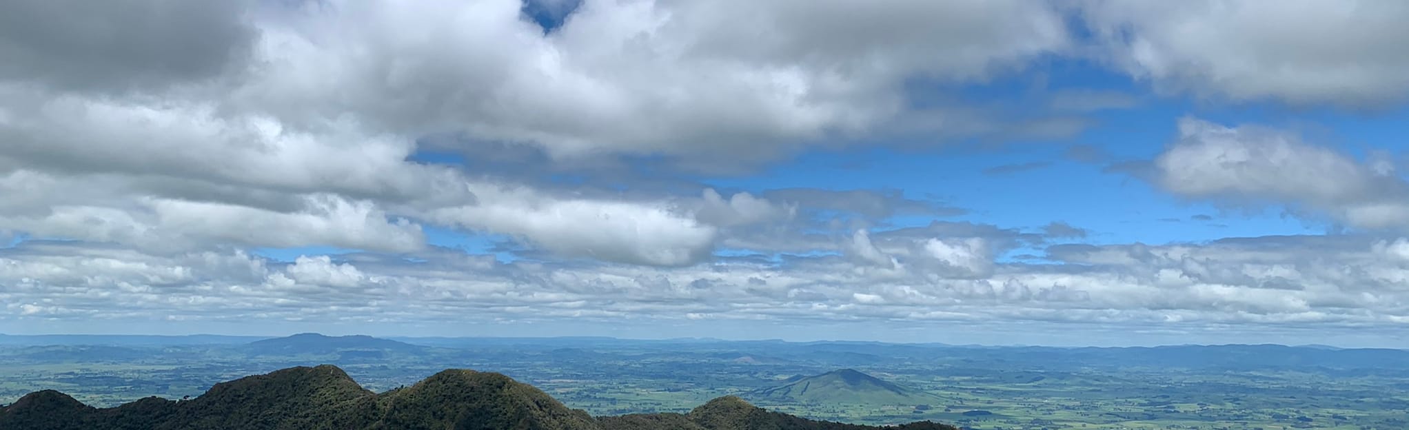 Pirongia Summit via Hihikiwi Track, Waikato, New Zealand - 21 Reviews ...