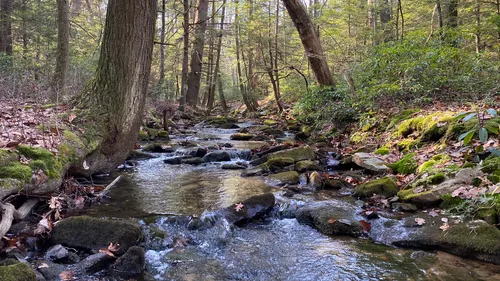 10 Best Hikes and Trails in Tuscarora State Forest | AllTrails