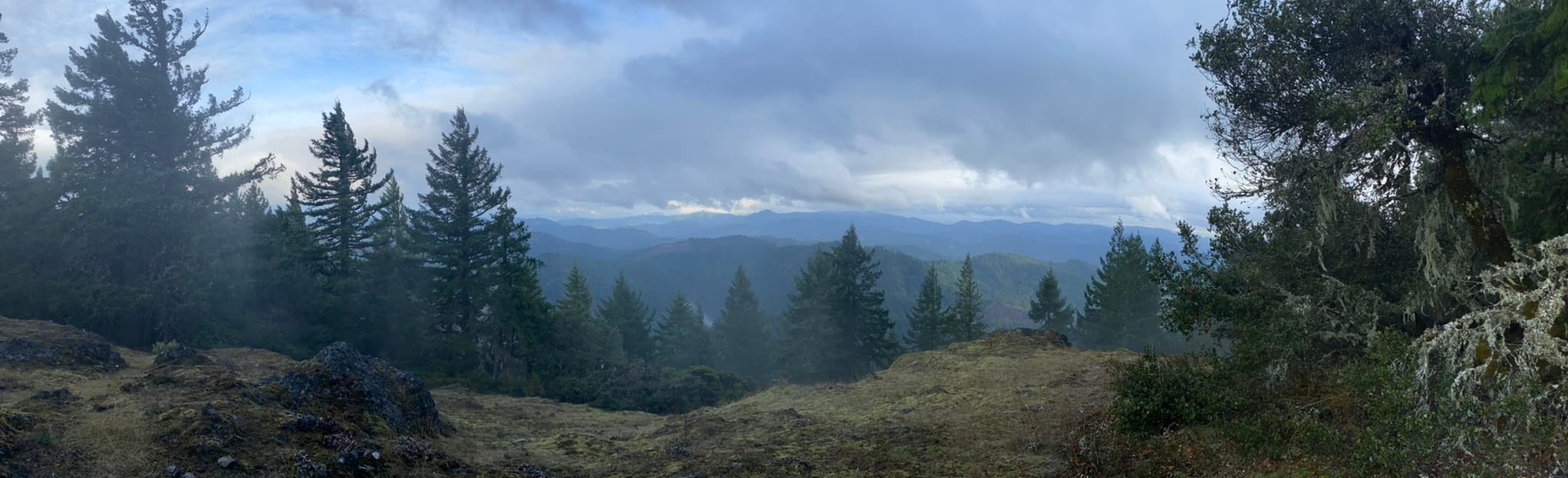 Grayback Mountain, Oregon - 4 Reviews, Map | AllTrails