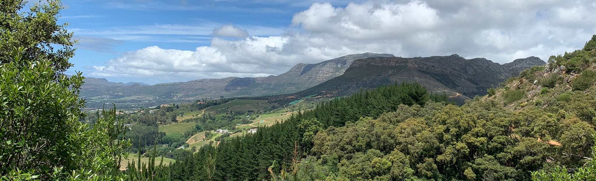 Constantia Corner Loop, Western Cape, South Africa - 31 Reviews, Map ...