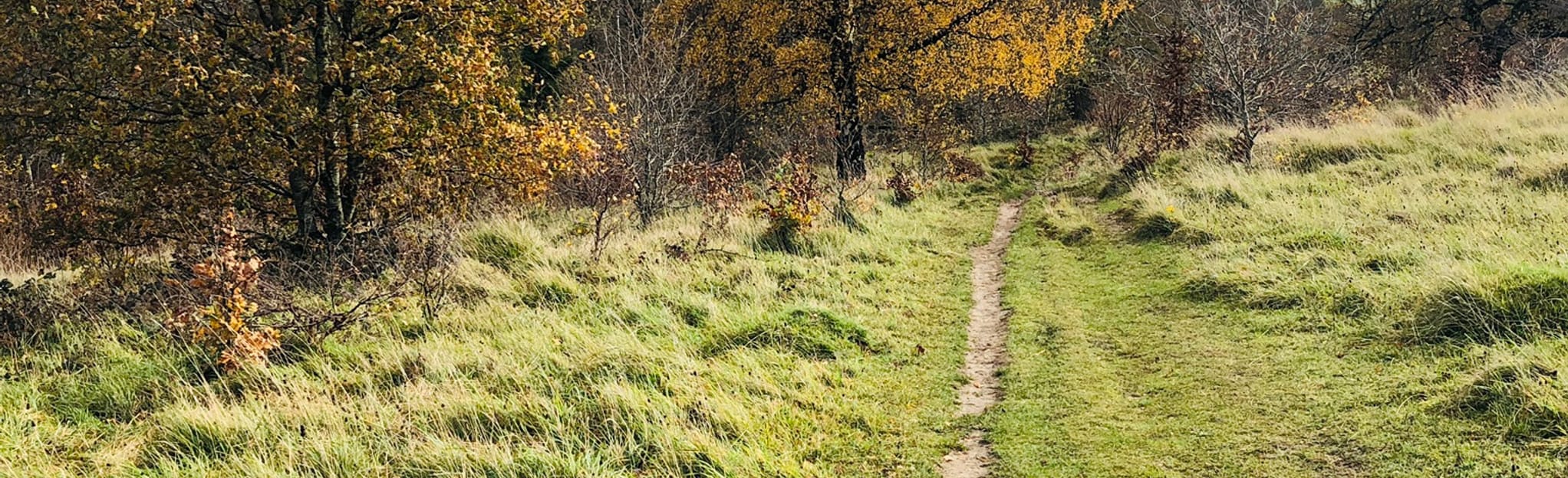 Maitlands Wood and Haresfield Beacon Circular, 219 Fotos ...
