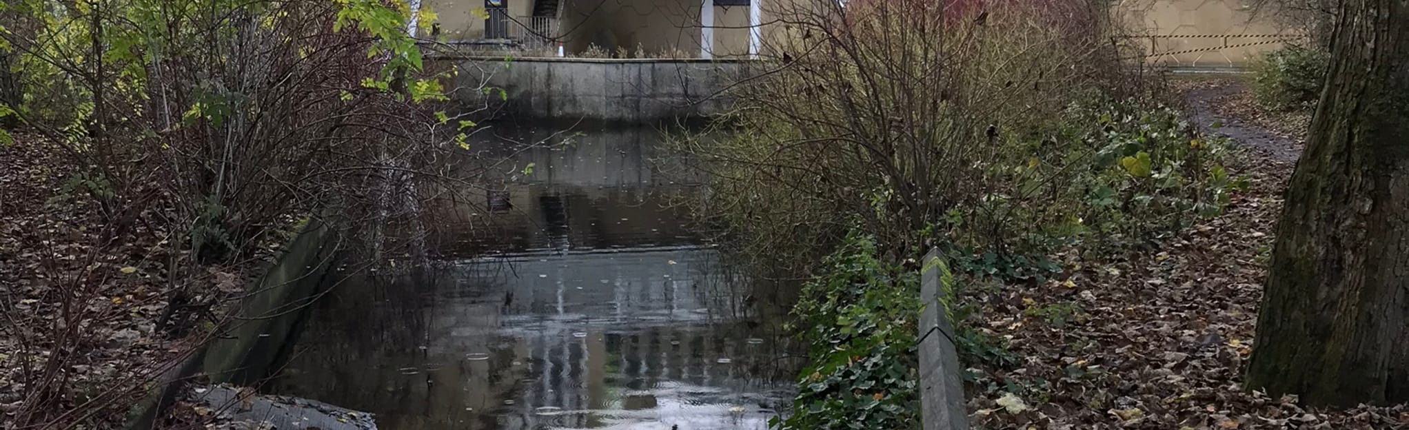 Jubilee Walk, County Durham, England - 2 Reviews, Map | AllTrails