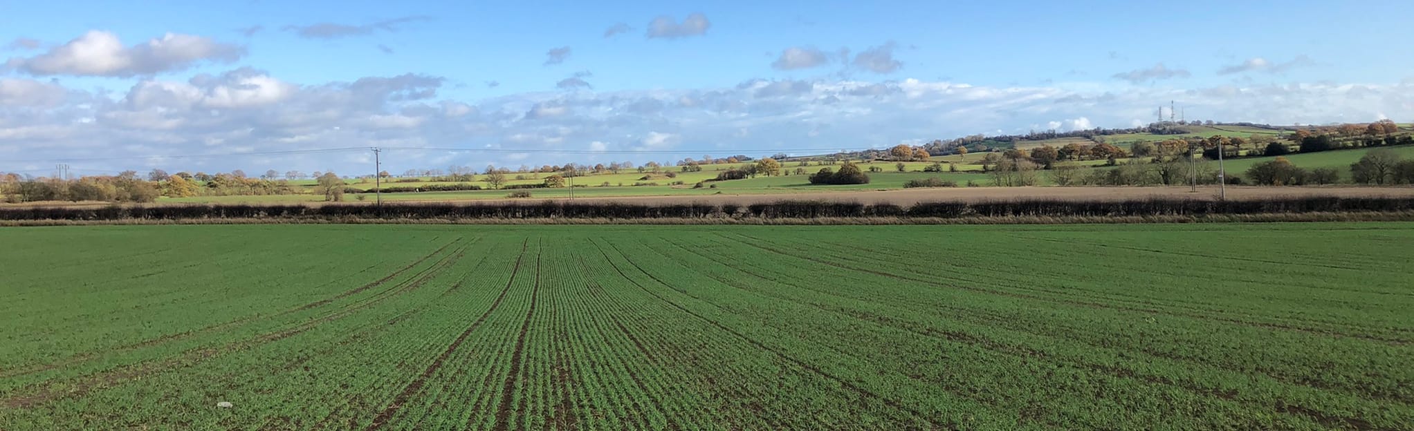 Wickersley and Ravenfield Ponds Circular - South Yorkshire, England ...