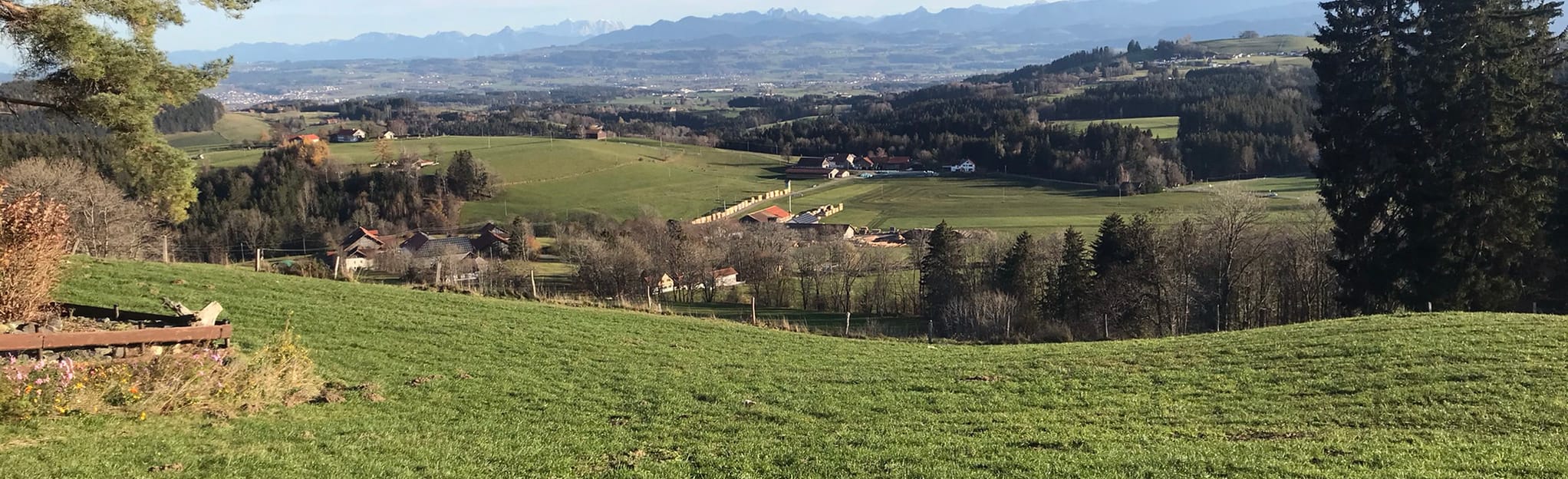 Wiggensbach zu dem Dürrer Bühl, Bavaria, Germany - Map, Guide | AllTrails