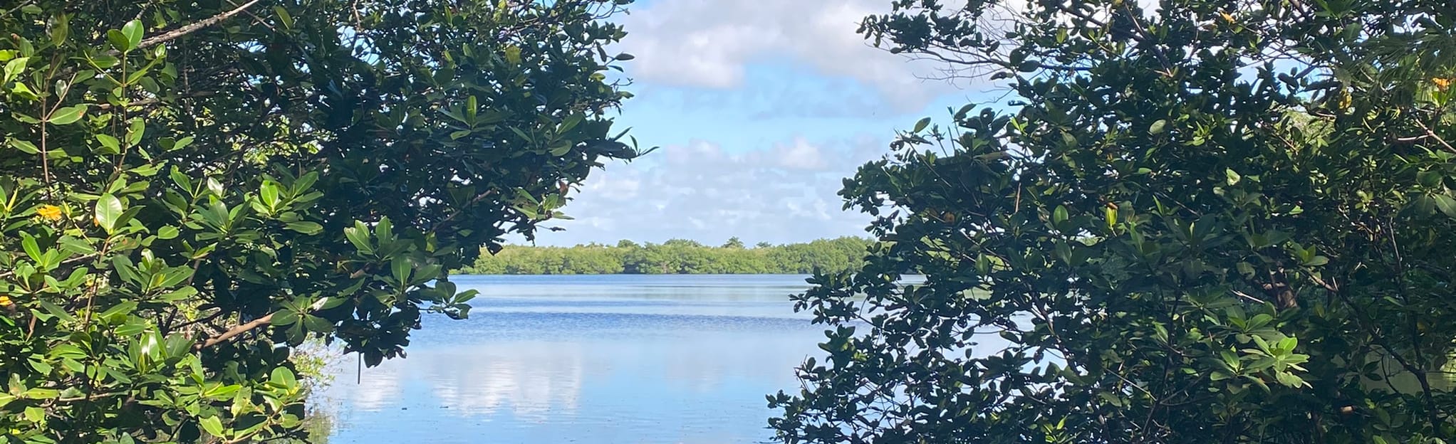 Chapman Field Park Trail, Florida - 26 Reviews, Map | AllTrails