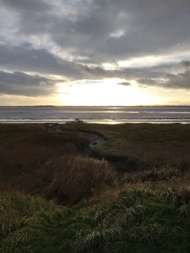 Best Hikes and Trails in Speke and Garston Coastal Reserve | AllTrails