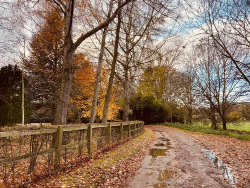 Best Hard Trails in Saffron Walden | AllTrails