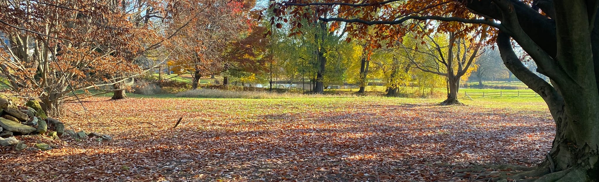 Louise W. Moore County Park | Map, Guide - Pennsylvania | AllTrails