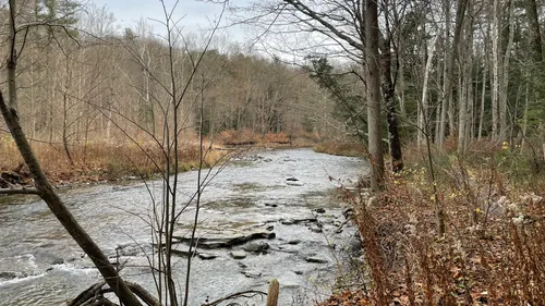 Best Hikes and Trails in Fall Creek Valley Natural Area | AllTrails