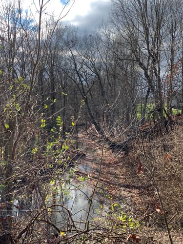 Best Hikes and Trails in Medina County Parks | AllTrails