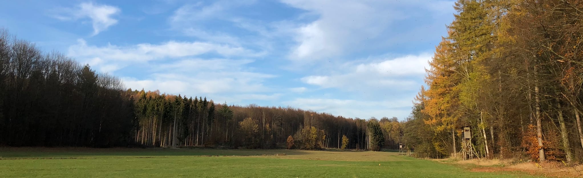 NaturTour Nidda, Hesse, Germany - 12 Reviews, Map | AllTrails