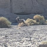Spooky Canyon, California - 80 Reviews, Map | AllTrails
