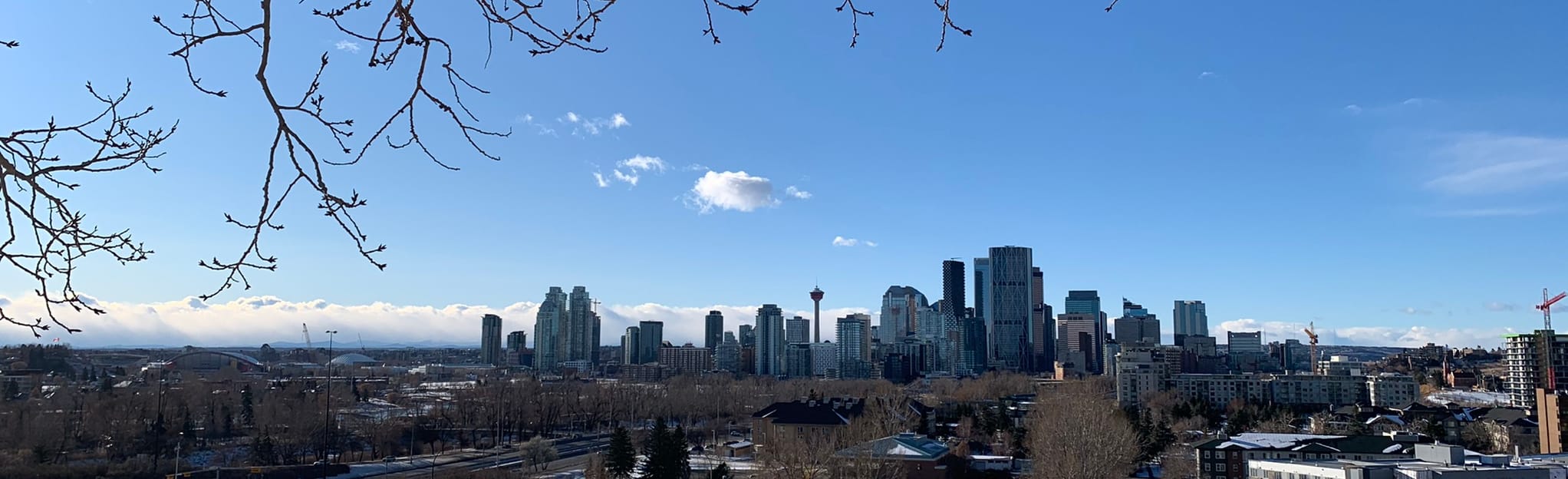 Tom Campbell's Hill: 83 Reviews, Map - Alberta, Canada | AllTrails